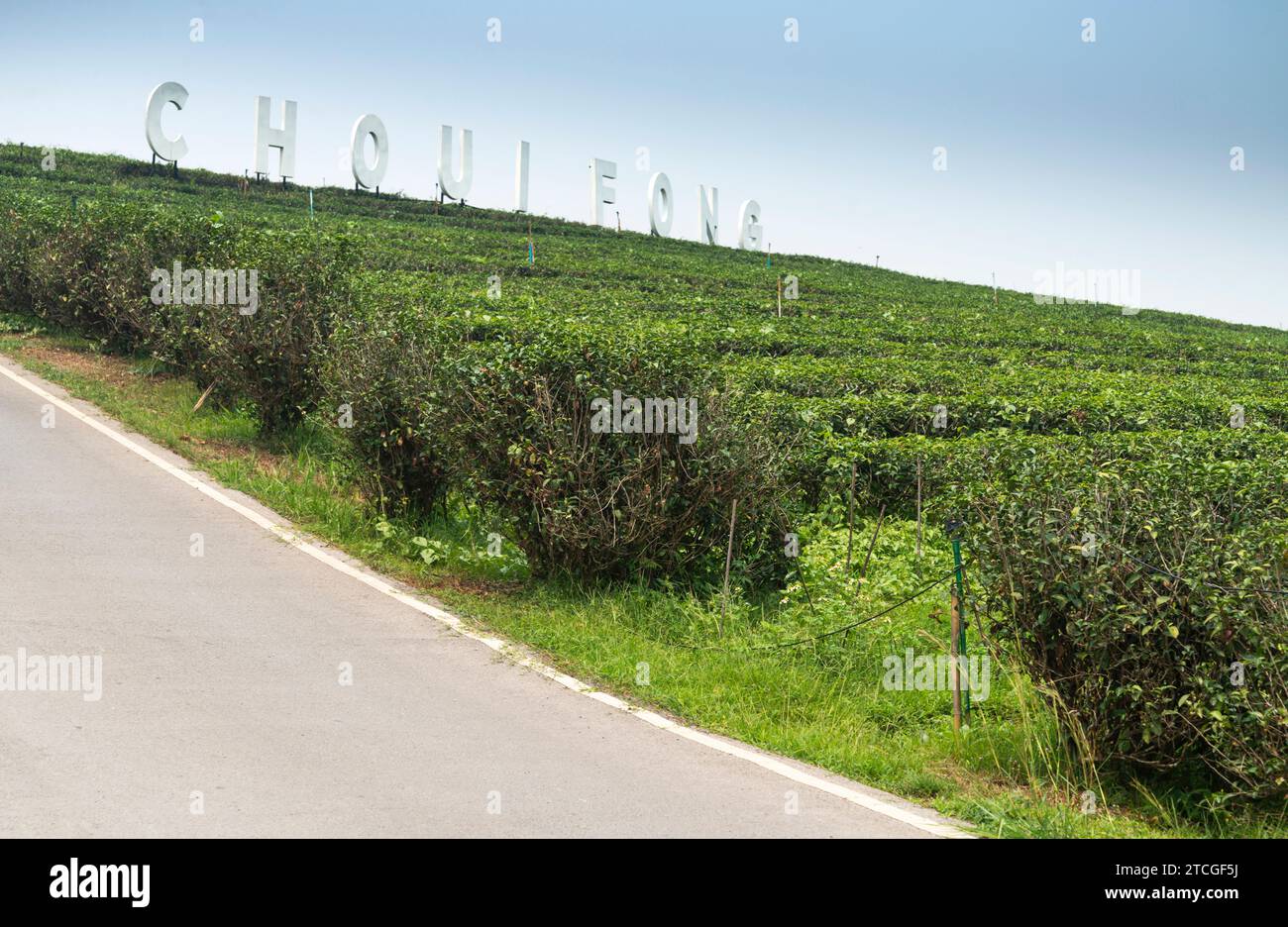 Hilltop plantations hi-res stock photography and images - Alamy