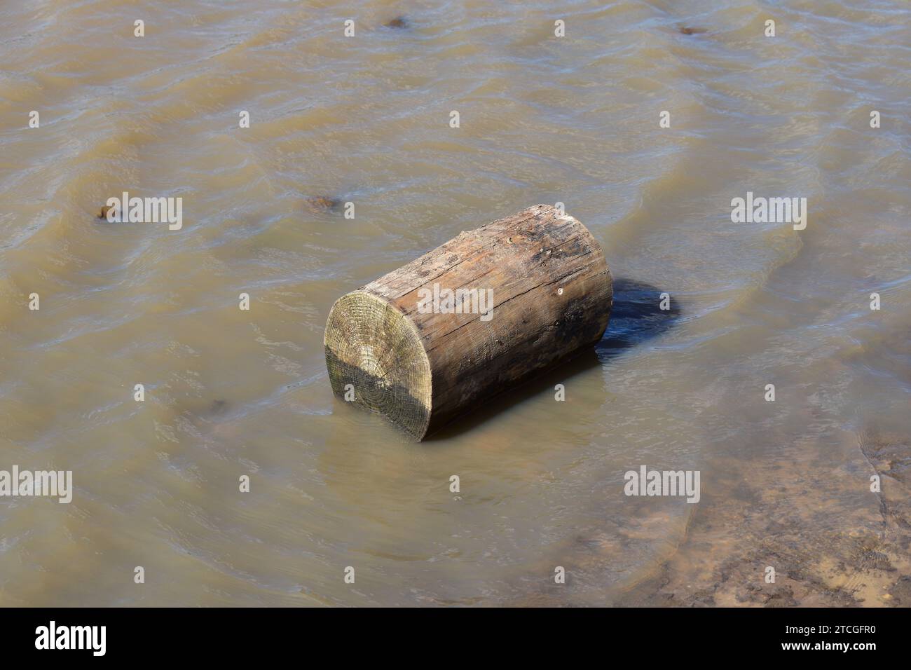 A round cut wooden log laying on its side, partially submerged in dirty ...