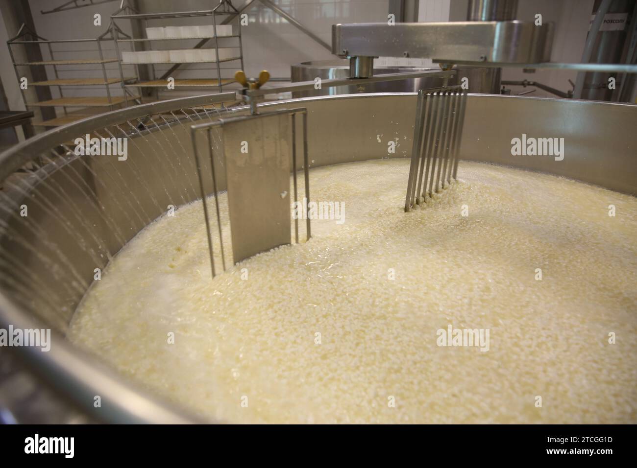 Adding water to curd and whey in tank at cheese factory Stock Photo - Alamy