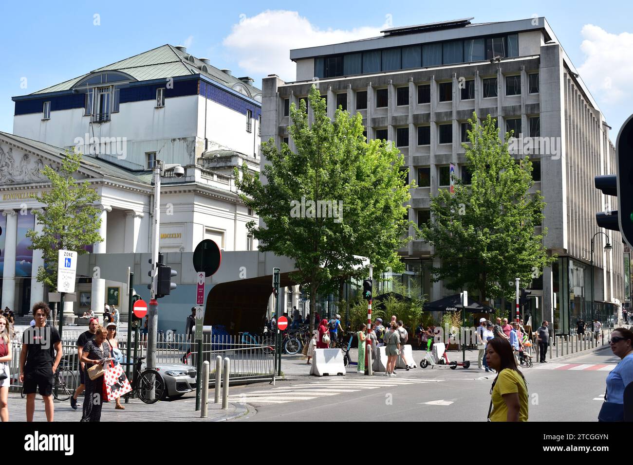 Trees with lush green foliage in front of the Muntpunt library building ...