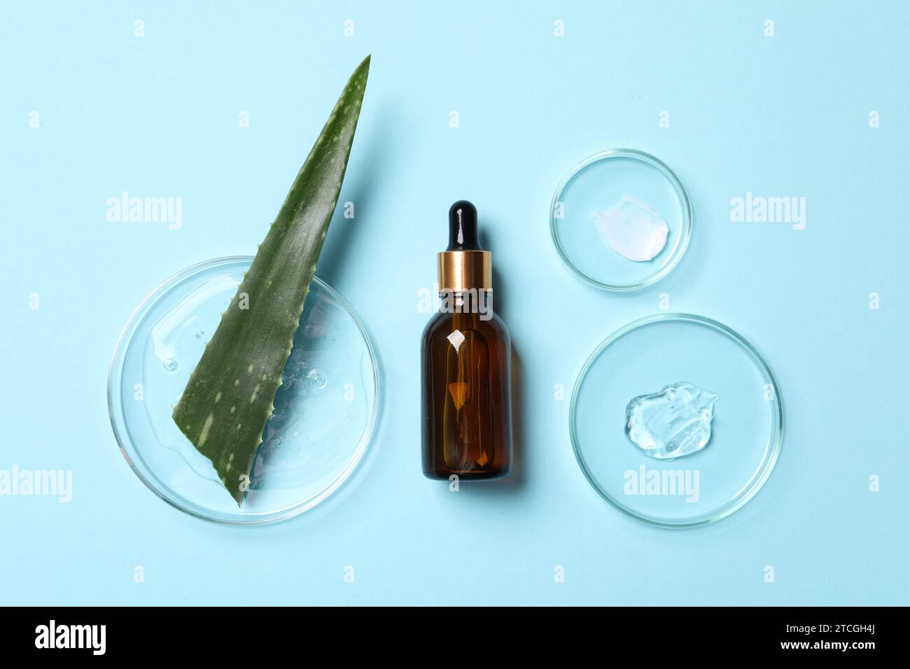 Bottle of cosmetic serum, aloe vera leaf and petri dishes with samples ...