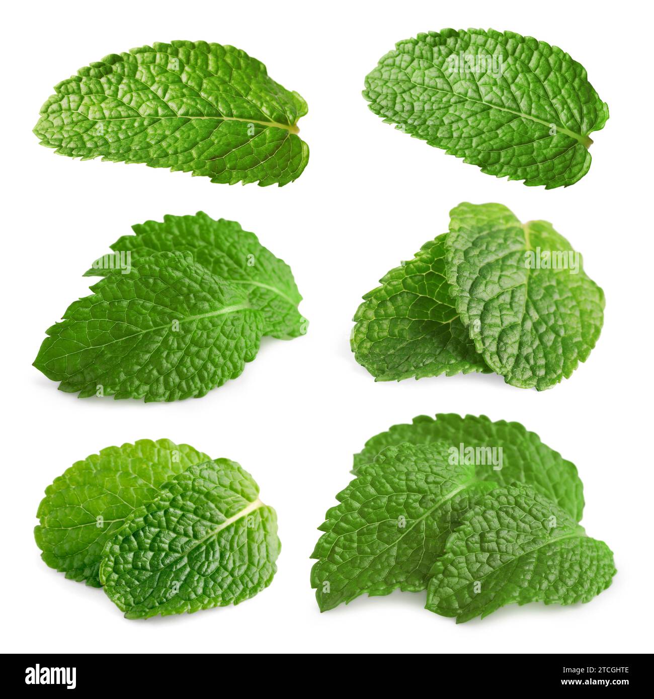 Fresh mint leaves isolated on white, set Stock Photo - Alamy