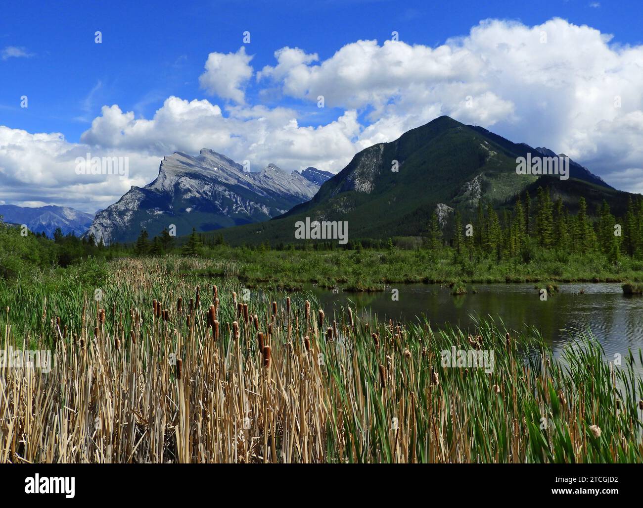 Rundle thrust sheet hi-res stock photography and images - Alamy