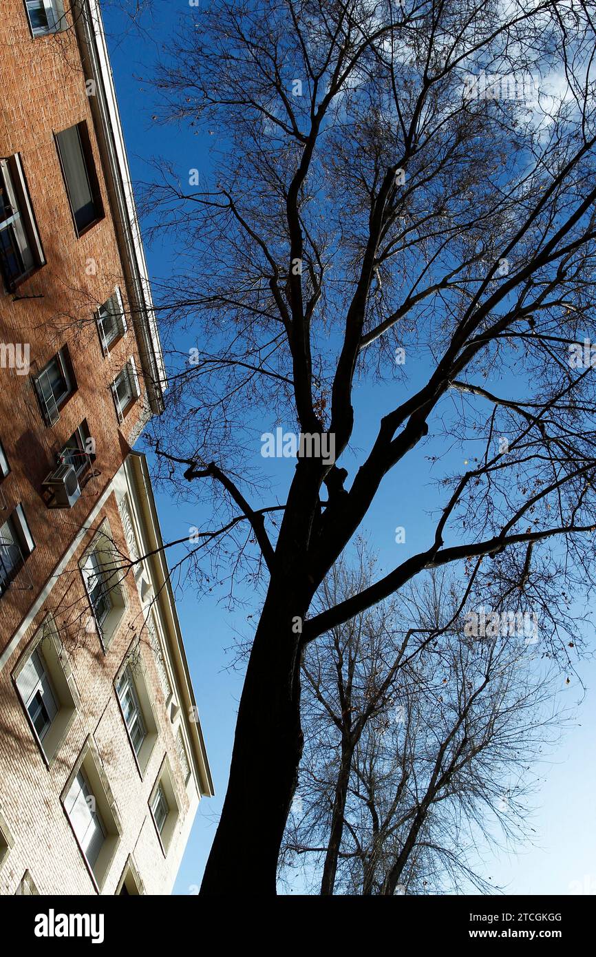 25 meter high hi-res stock photography and images - Alamy