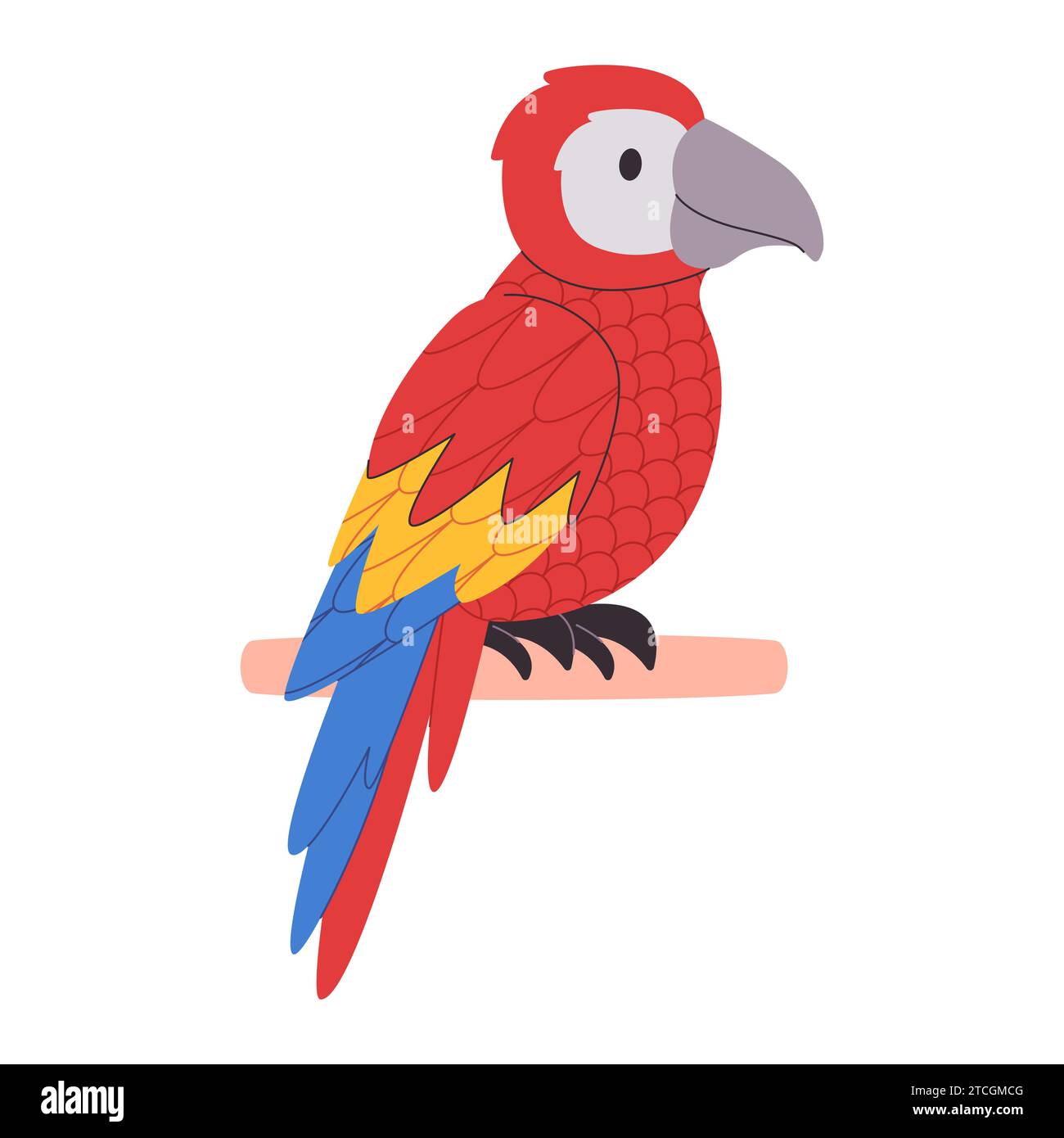colorful bird scarlet macaw species parrot red colorful pretty cute ...