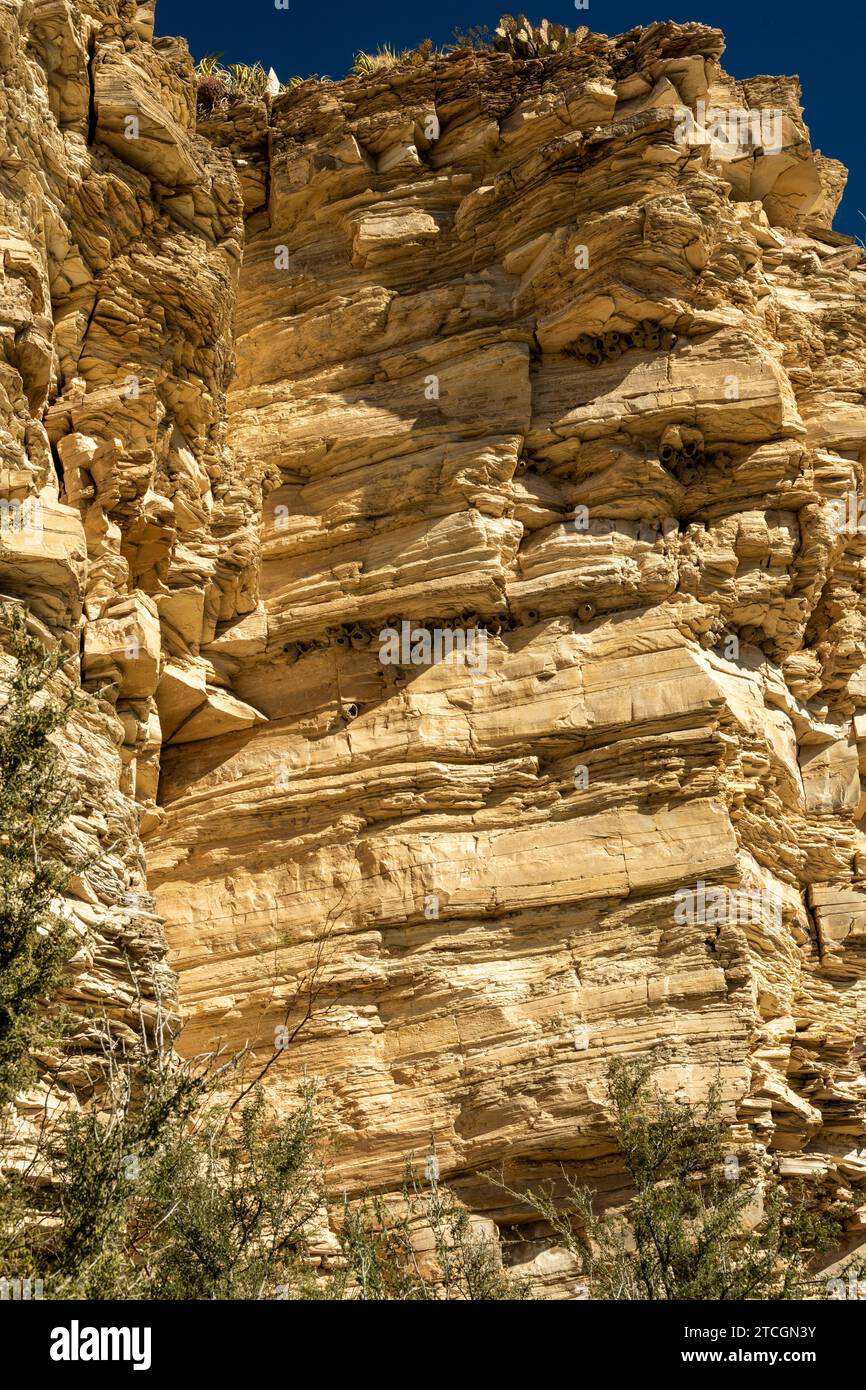 Nests under rocks hi-res stock photography and images - Alamy