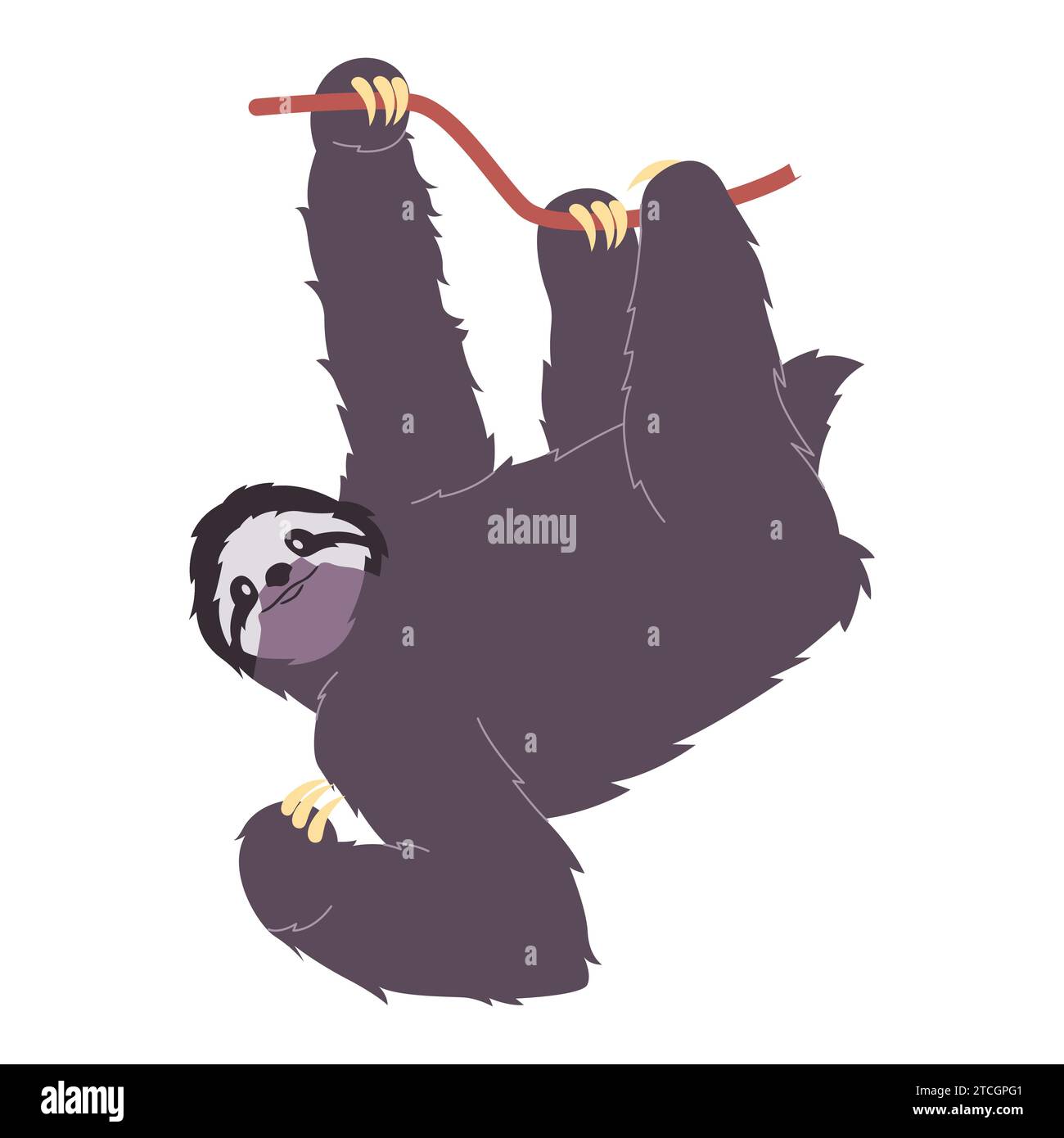 Brown throated three toed sloth Stock Vector Images - Alamy