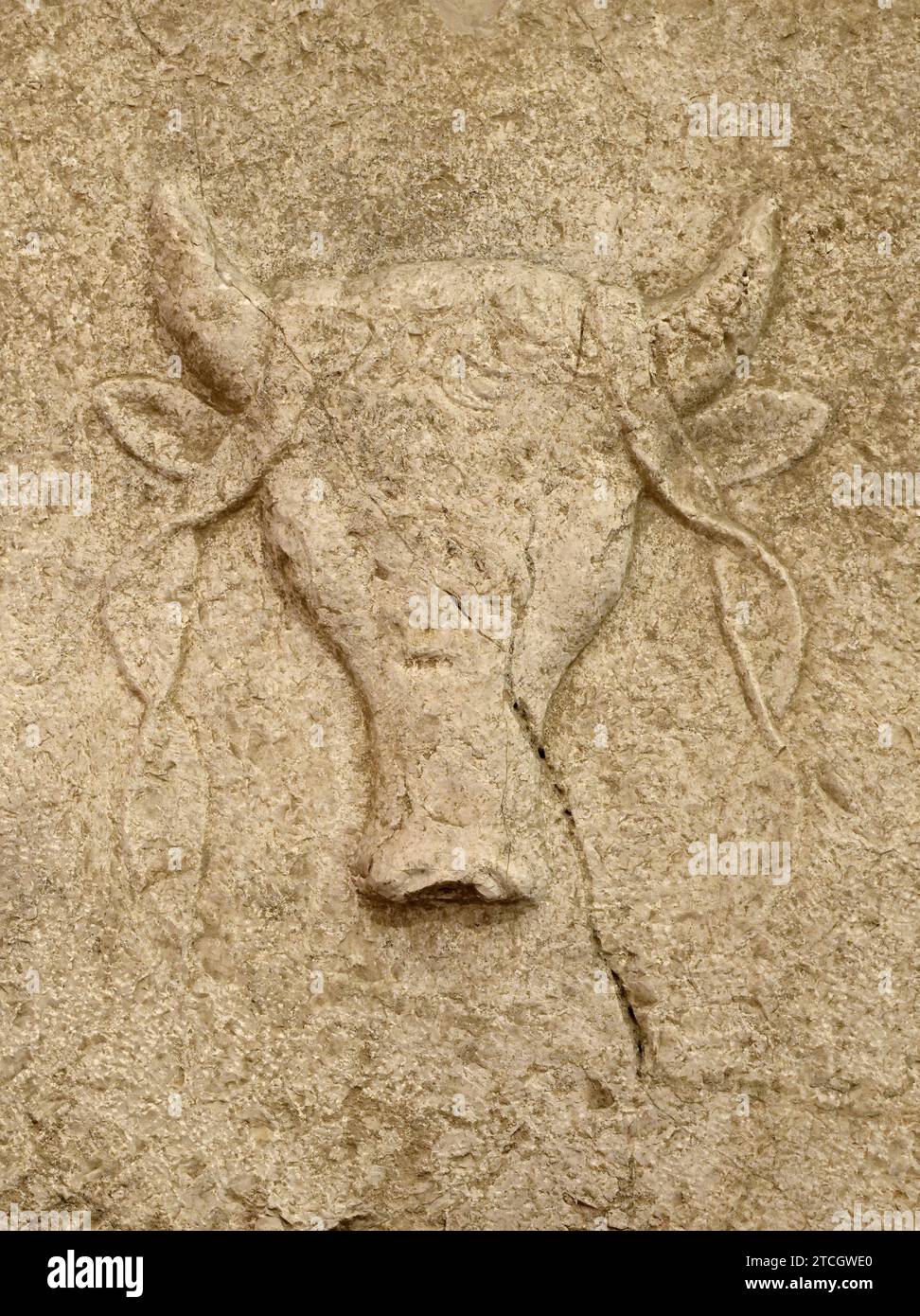 Memorial Bucranium carved relief, part of a free standing funerary ...