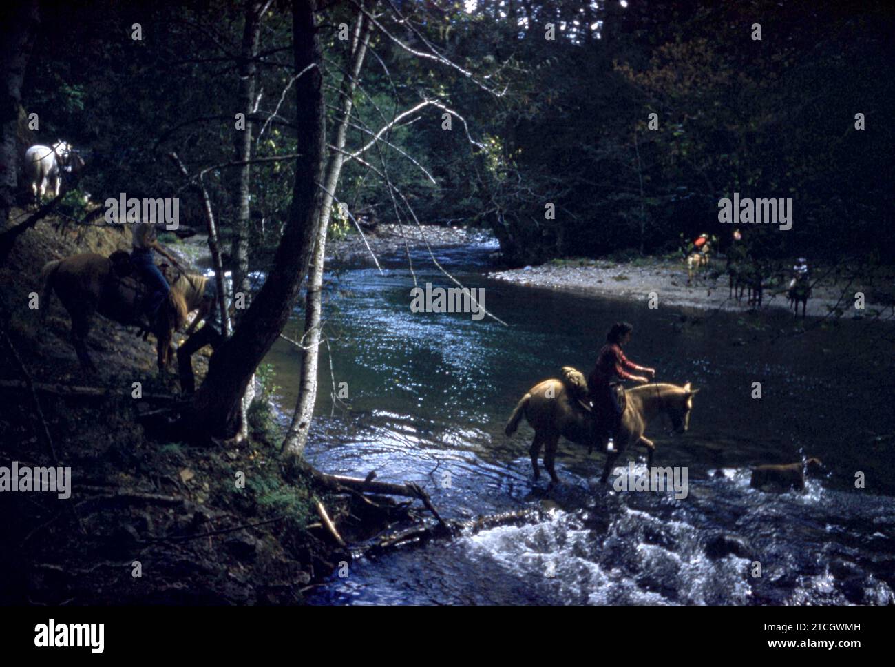 MT. HOOD, OR - SEPTEMBER, 1958: Diana Del Gorde (blue pants) and ...