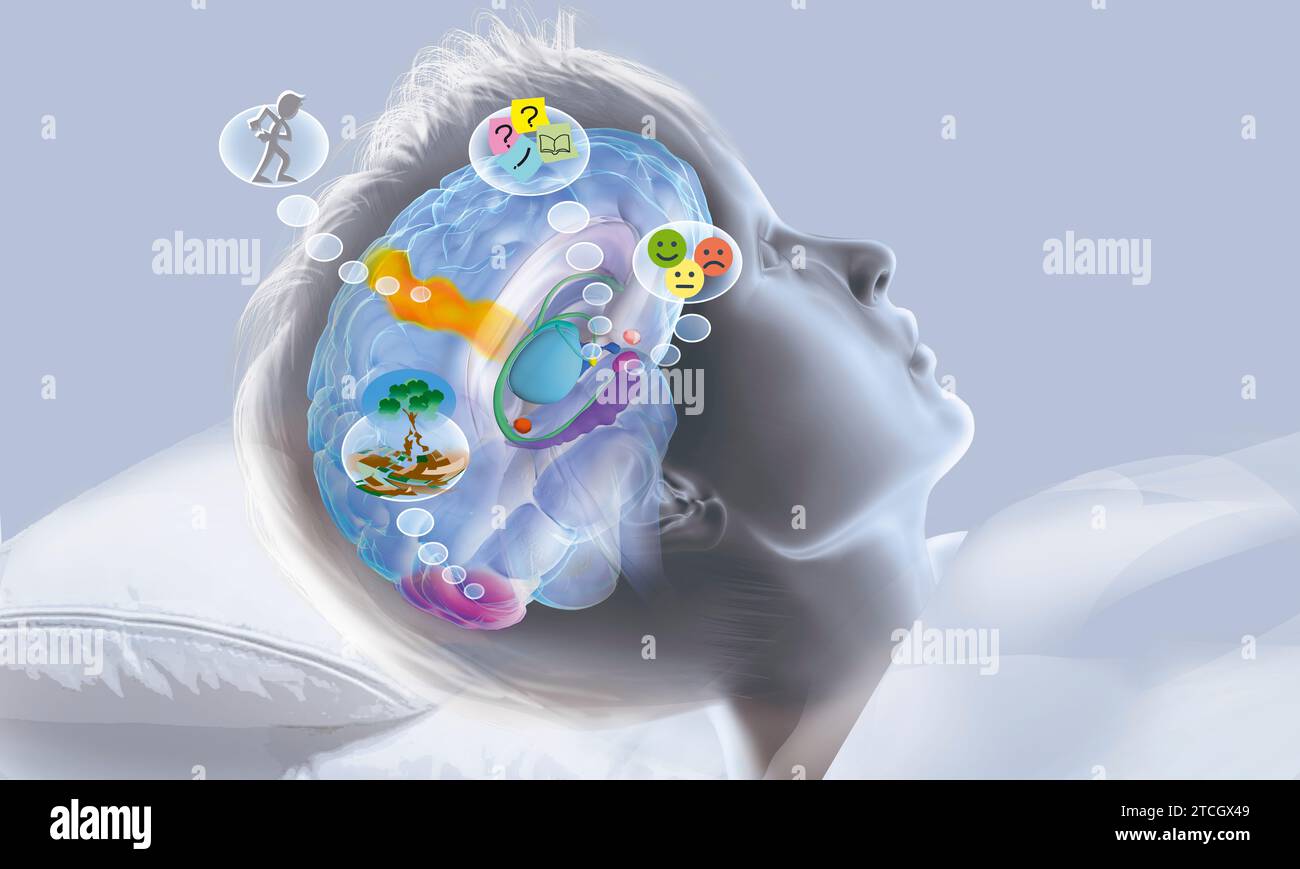 Brain activity during dreaming, illustration. Dreams occur during the ...