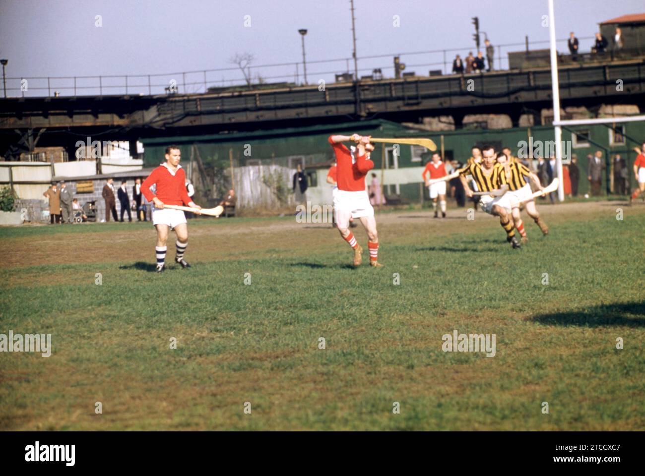 1955: General view as an unidentified player gets ready to hit the ...