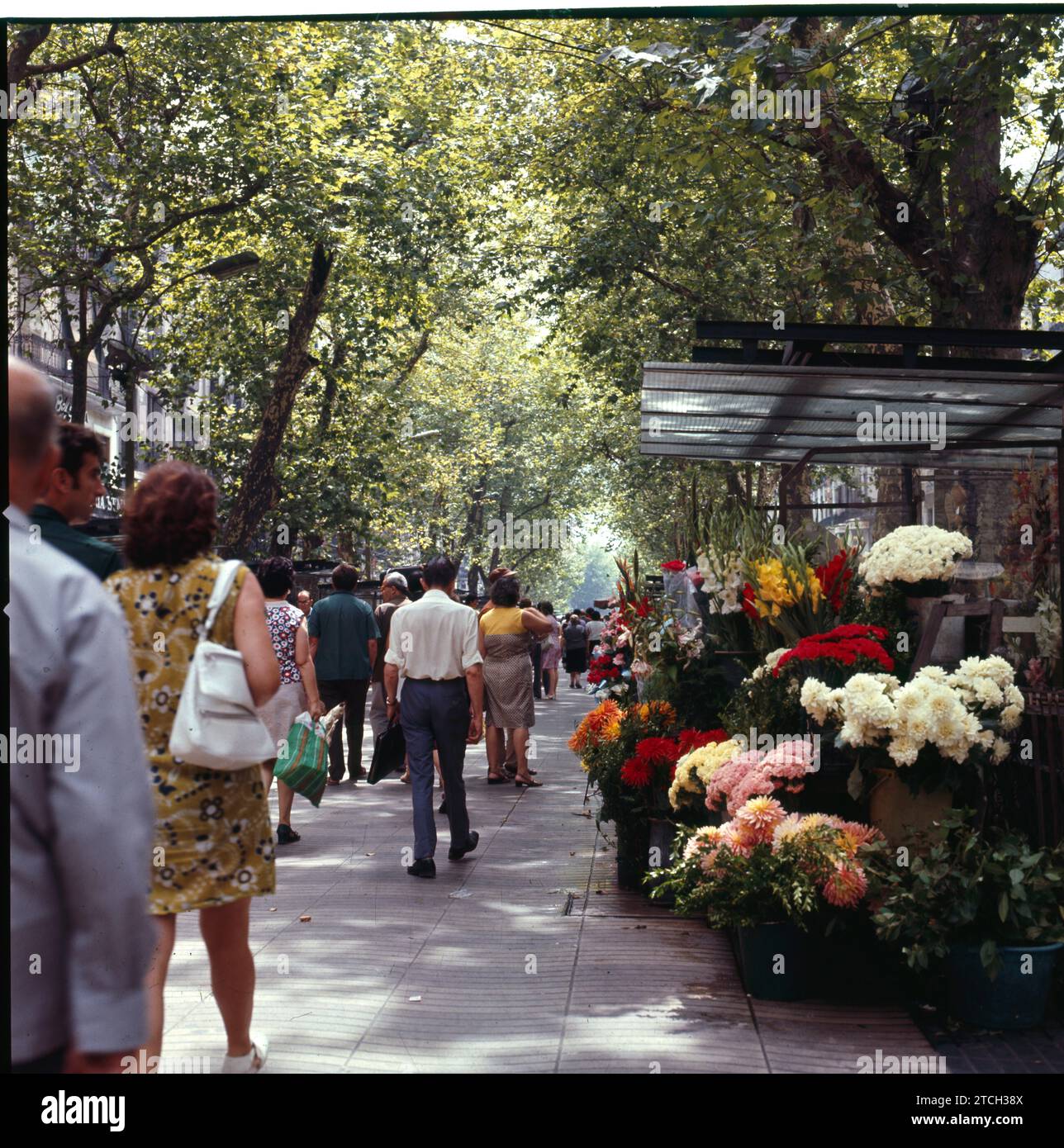 Barcelona, July 1971. A beautiful appearance of the Rambla de las ...