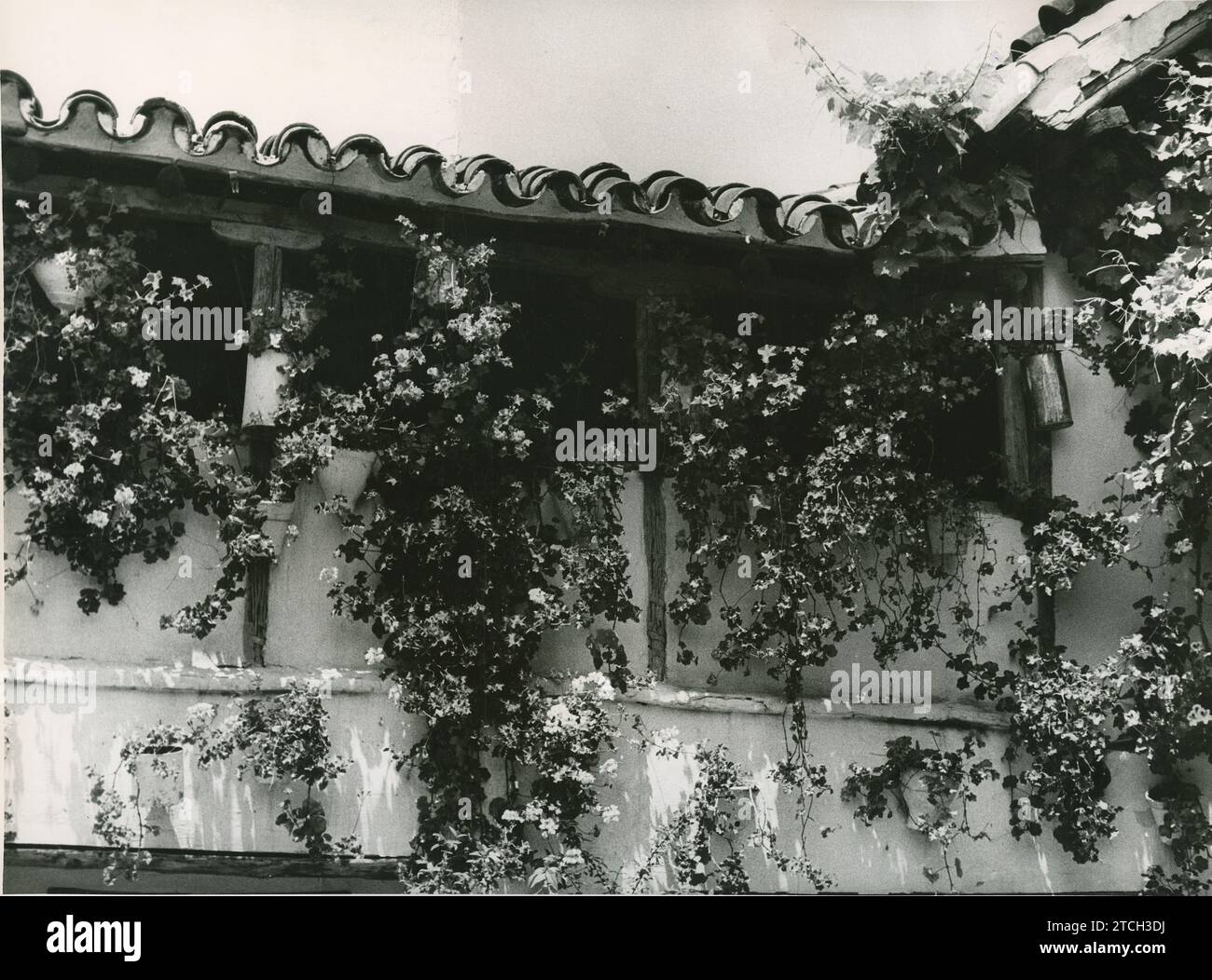 Córdoba, May 1967. An Andalusian balcony in a Cordoban patio. Credit ...