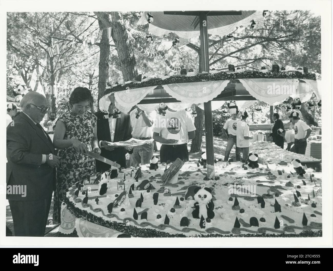 Madrid, 09/06/1987. Celebration of the fifth birthday of the panda "Chu ...