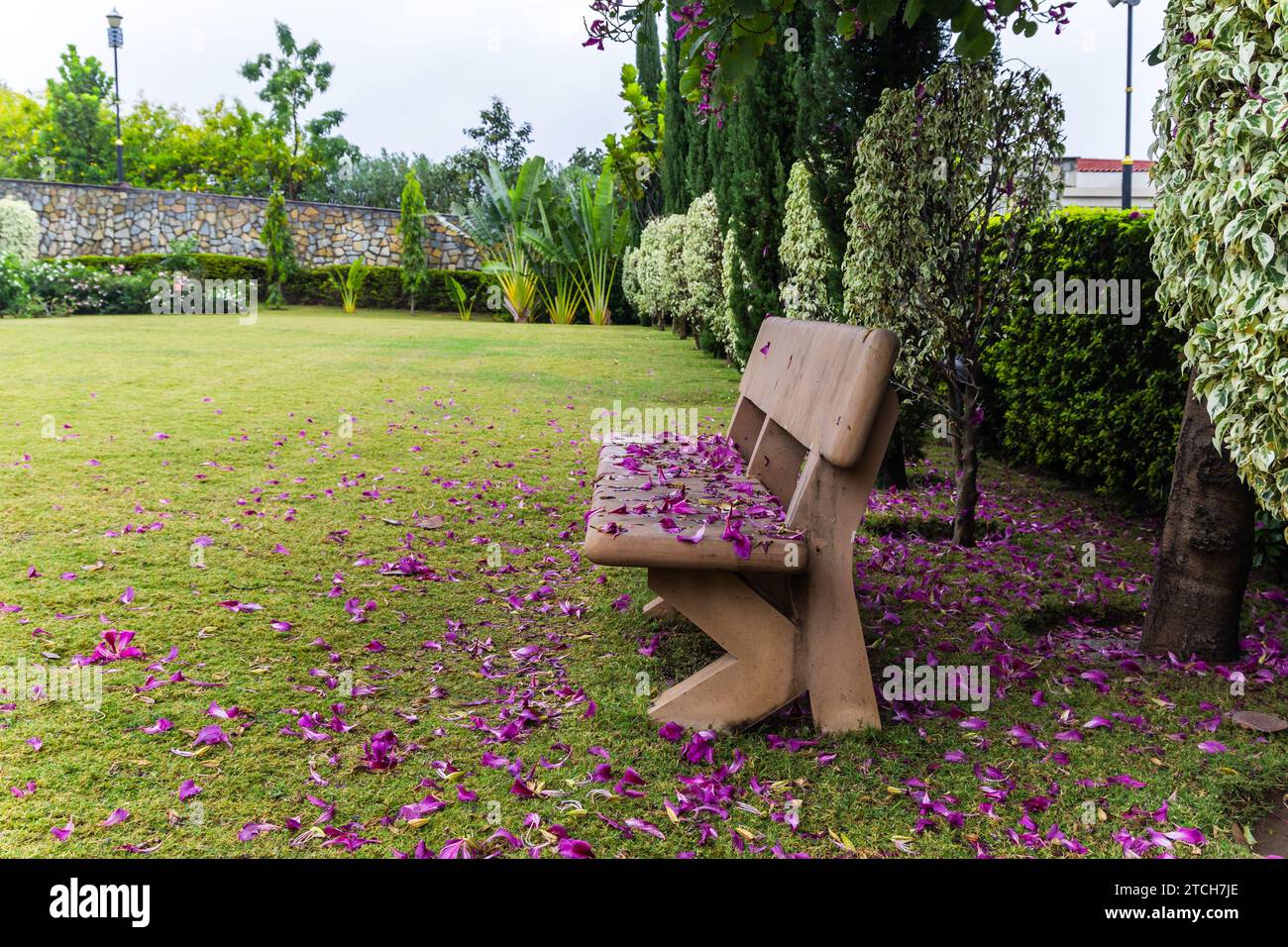 isolated bench cover with flowers at lush green park at morning from ...