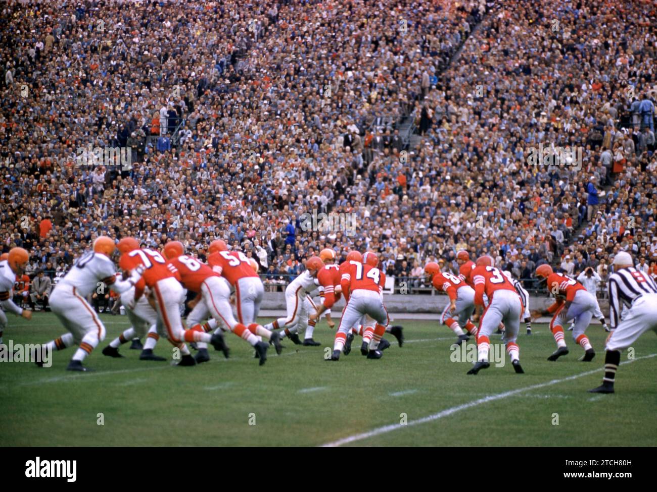SAN FRANCISCO, CA - AUGUST 19: Quarterback Y.A. Tittle #14 of the San ...
