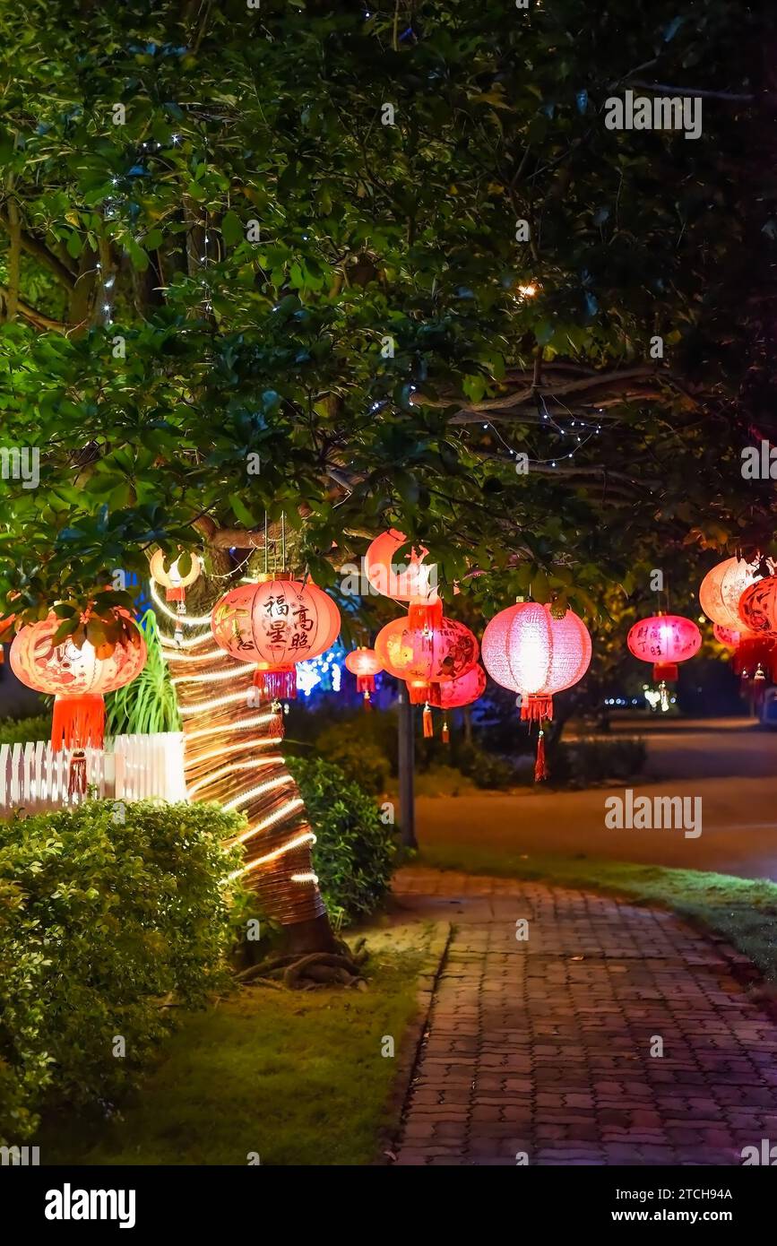 Many red lanterns with vietnamese language translated as "Happy New ...