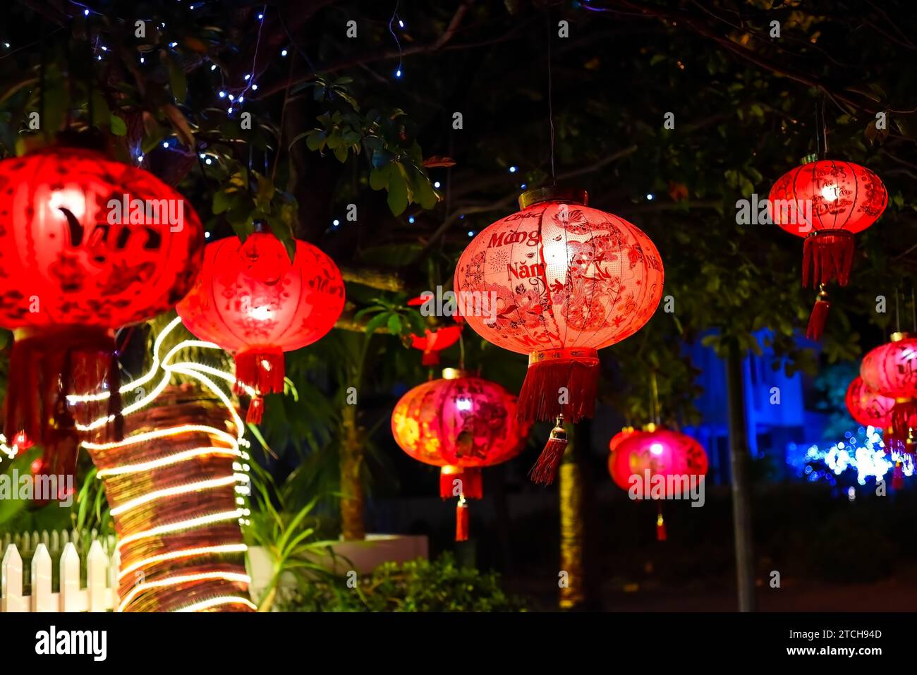 Red vietnamese lantern hanging in tree hi-res stock photography and ...