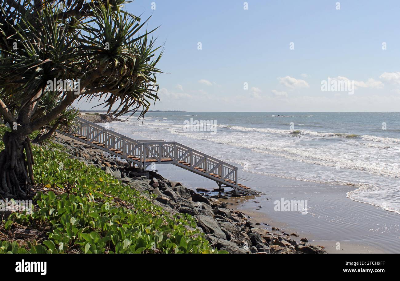 Yeppoon main beach with the ocean, sand, steps and a pandanus tree in ...