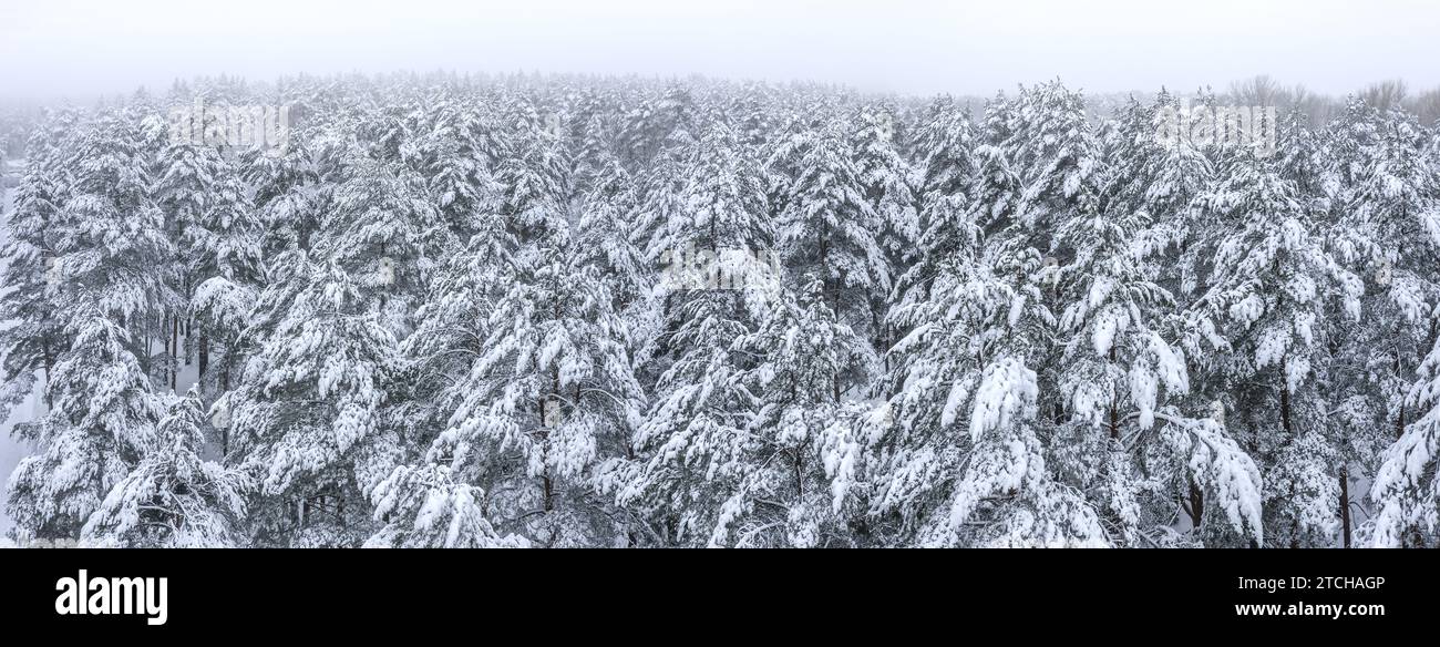 Aerial top view frozen forest hi-res stock photography and images - Alamy
