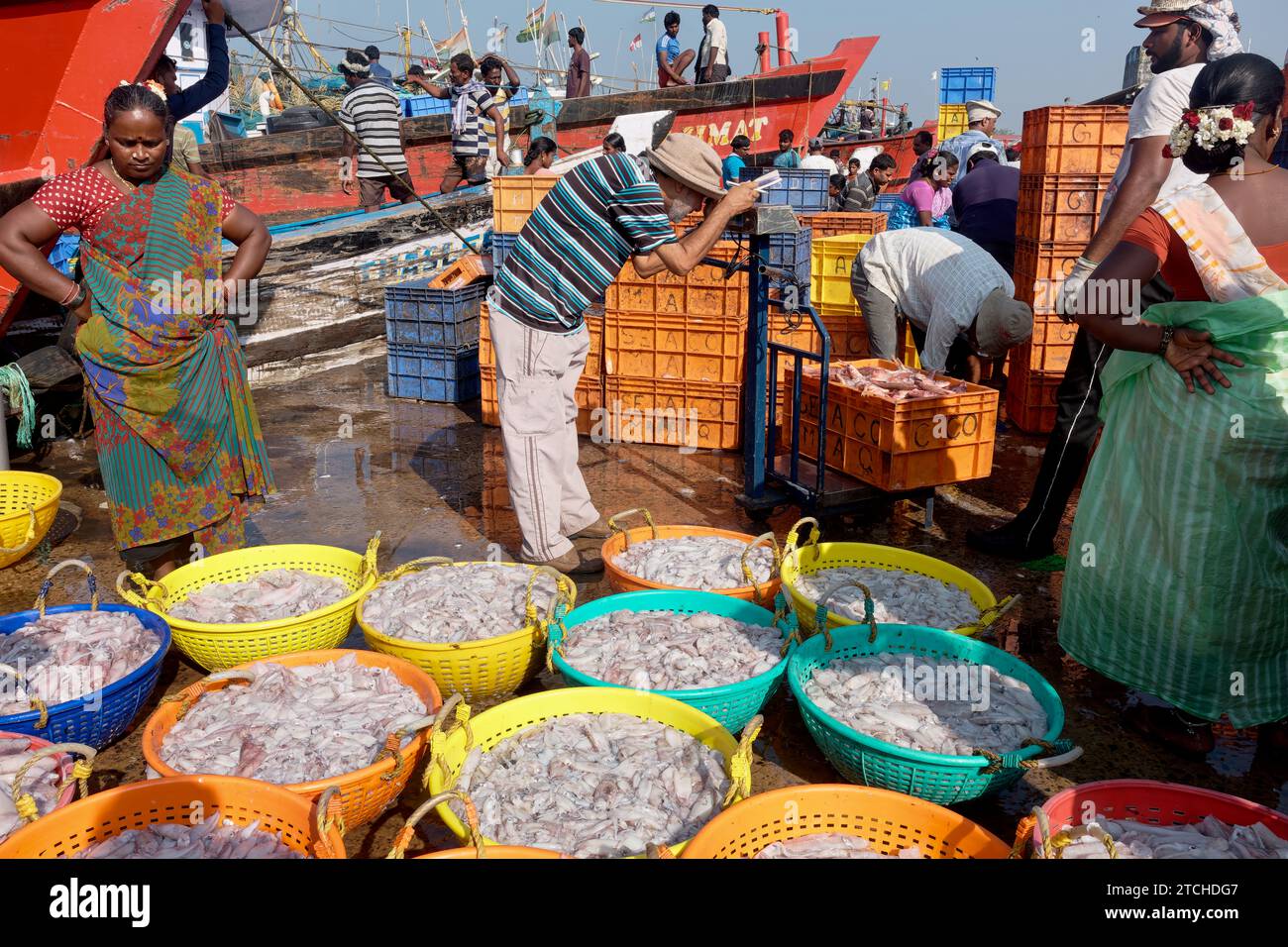 A wholesale buyer of seafood at the Old Port in Mangalore, Karnataka ...