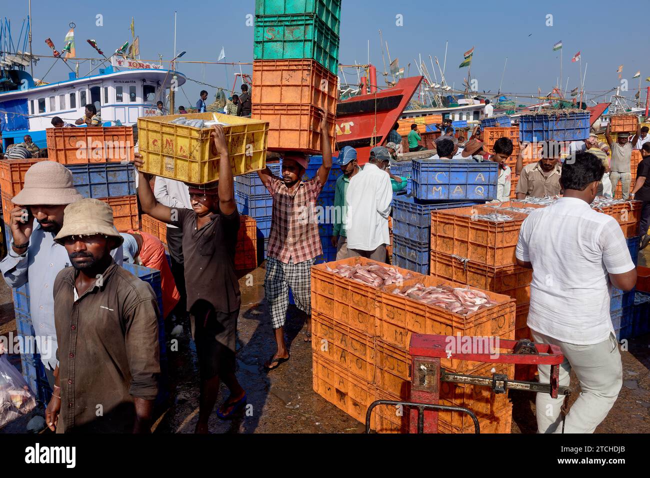 Brisk activity, wheeling and dealing, at the Old Port fishing harbor ...