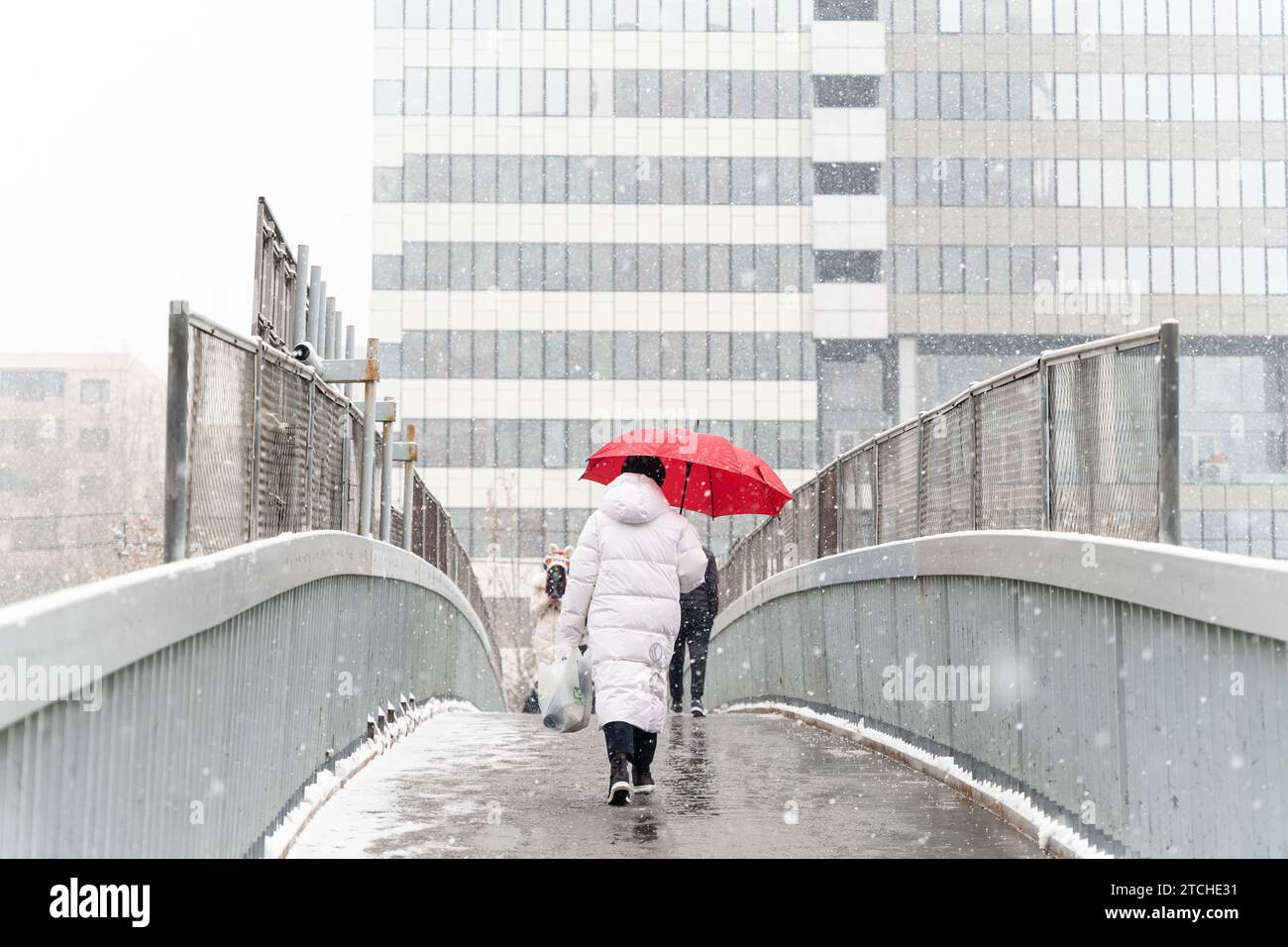 Beijing, China. 13 Dec, 2023. People of Beijing walking under umbrella ...
