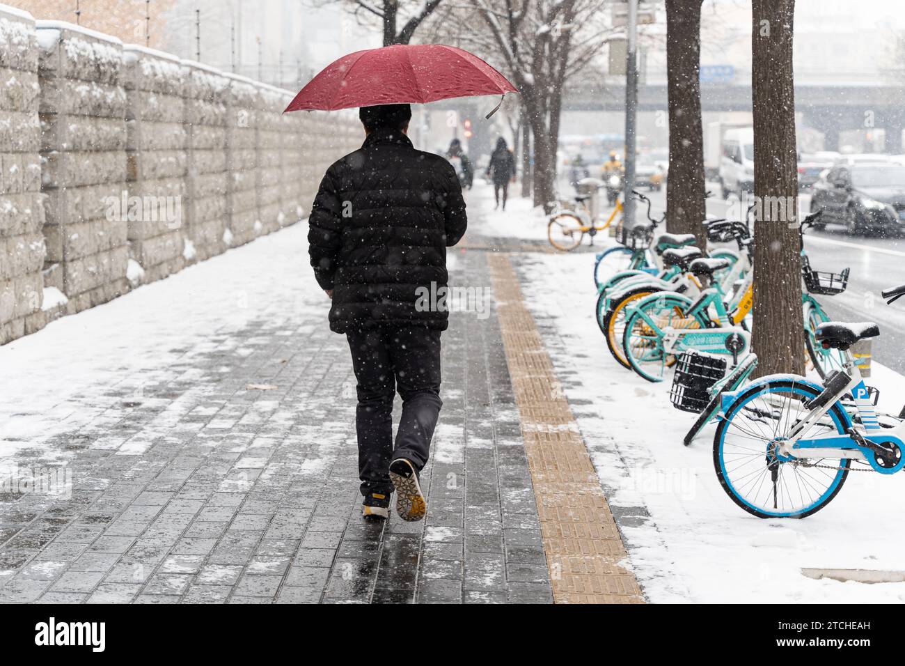 Beijing, China. 13 Dec, 2023. People of Beijing walking under umbrella ...