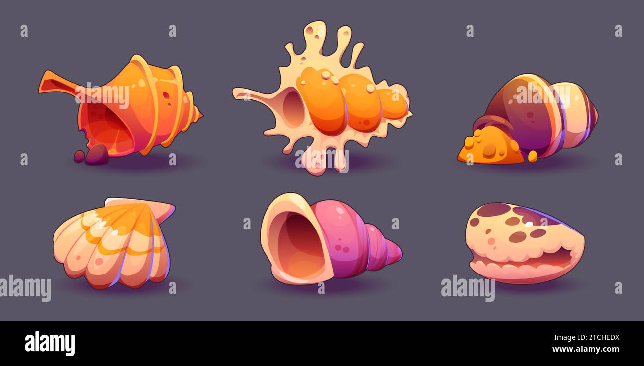Set of seashells isolated on black background. Vector cartoon ...