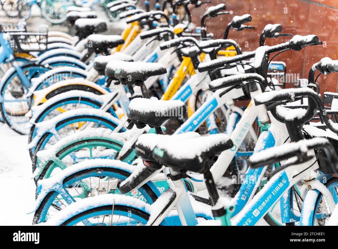 Beijing, China. 13 Dec, 2023. Chinese public shared bicycles covered in ...