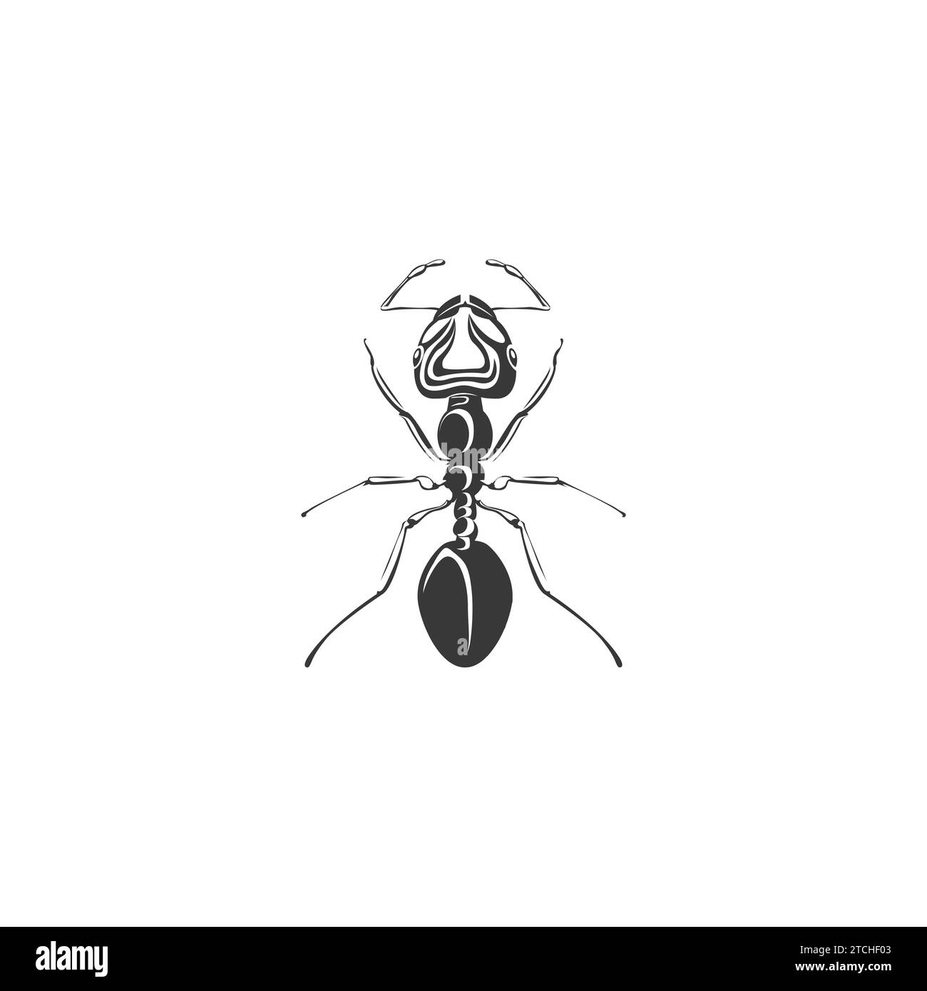 Ant Logo vector illustration template design Stock Vector Image & Art ...