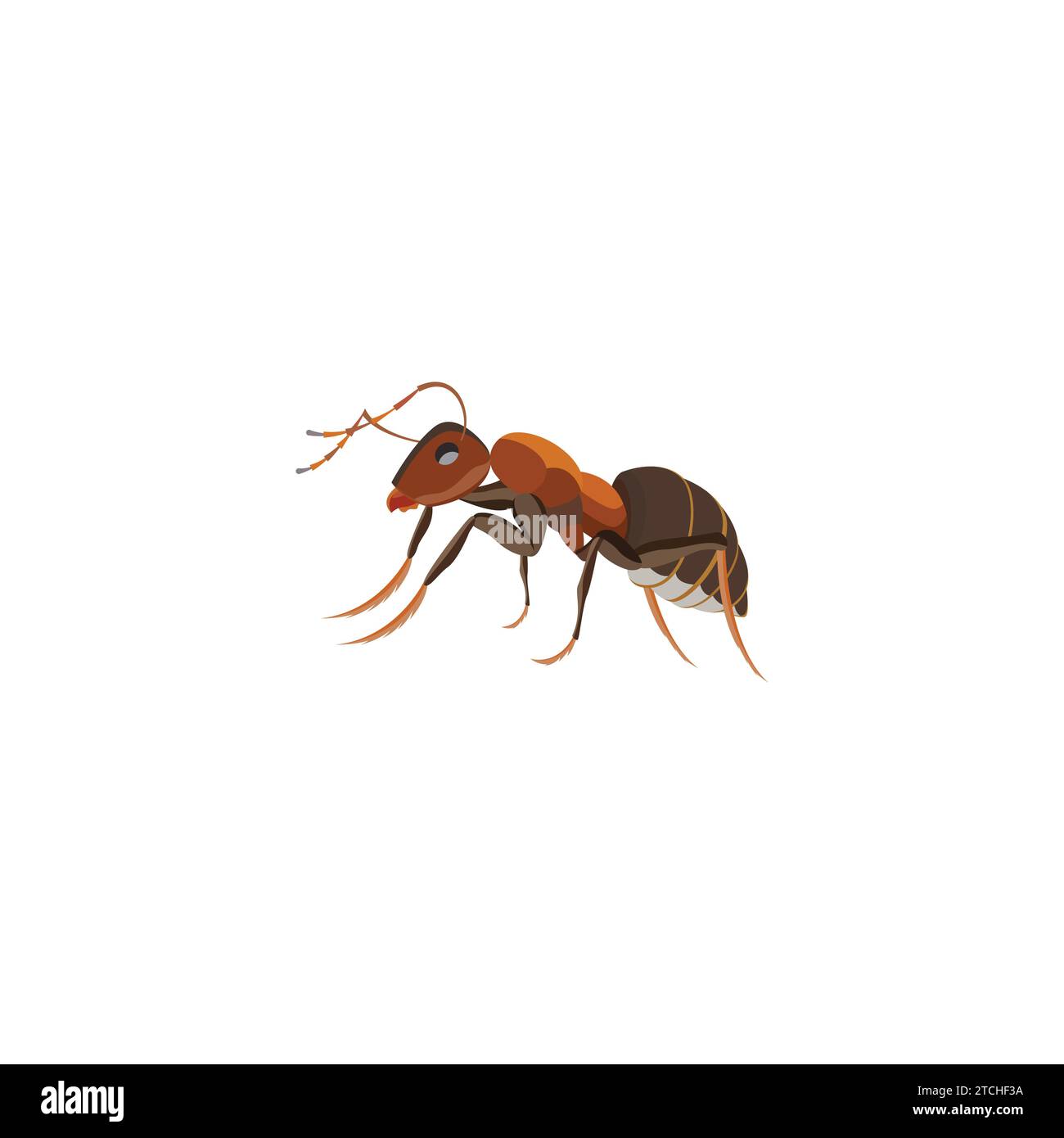 Ant Logo vector illustration template design Stock Vector Image & Art ...
