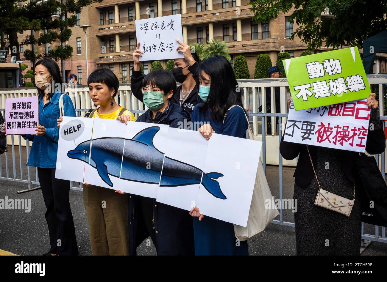 Dolphin abuse hi-res stock photography and images - Alamy