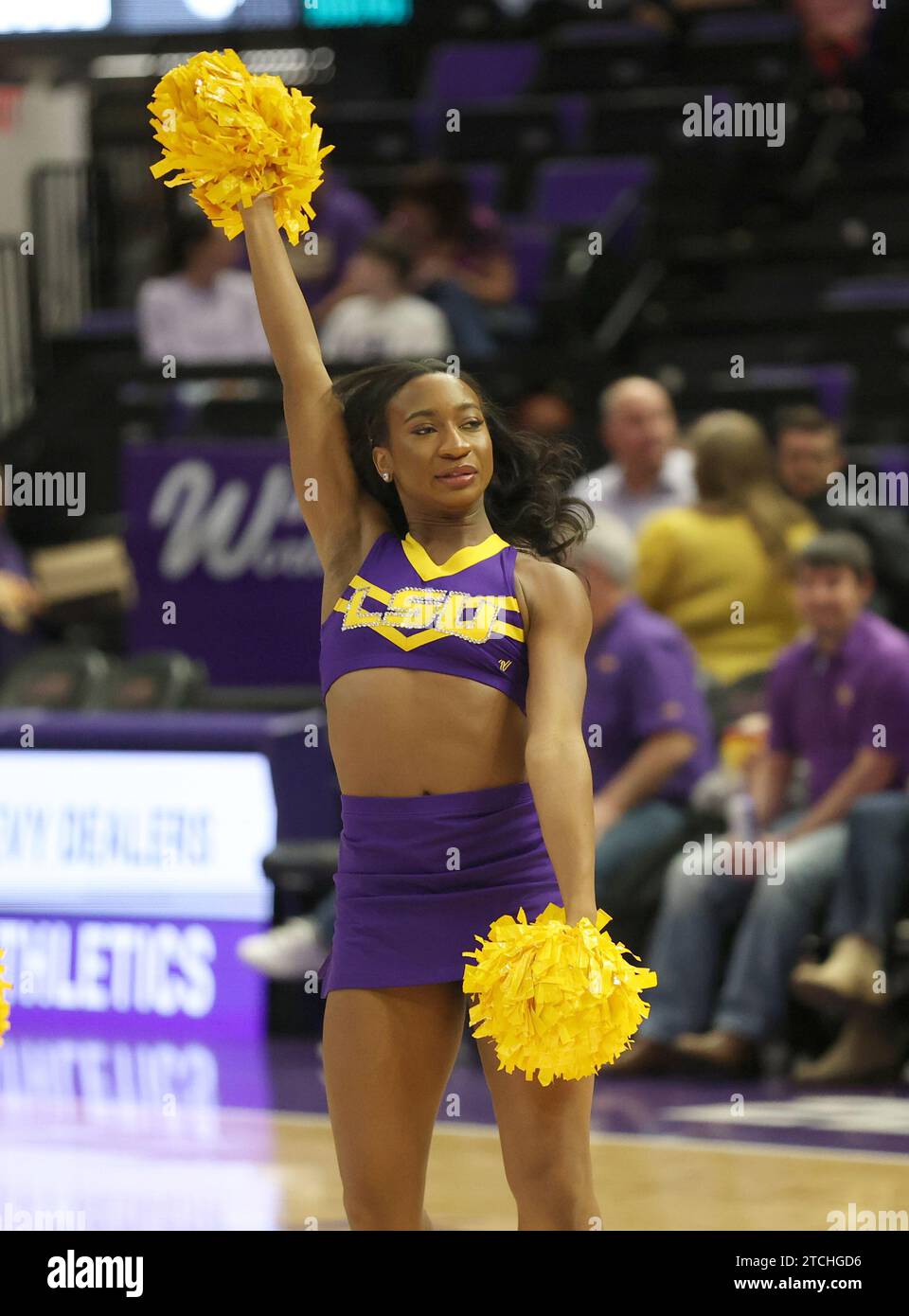 Baton Rouge, USA. 12th Dec, 2023. A LSU Lady Tigers cheerleader perform ...