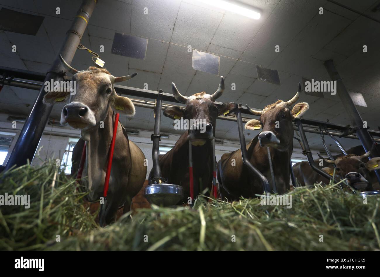 Phase out model hi-res stock photography and images - Alamy