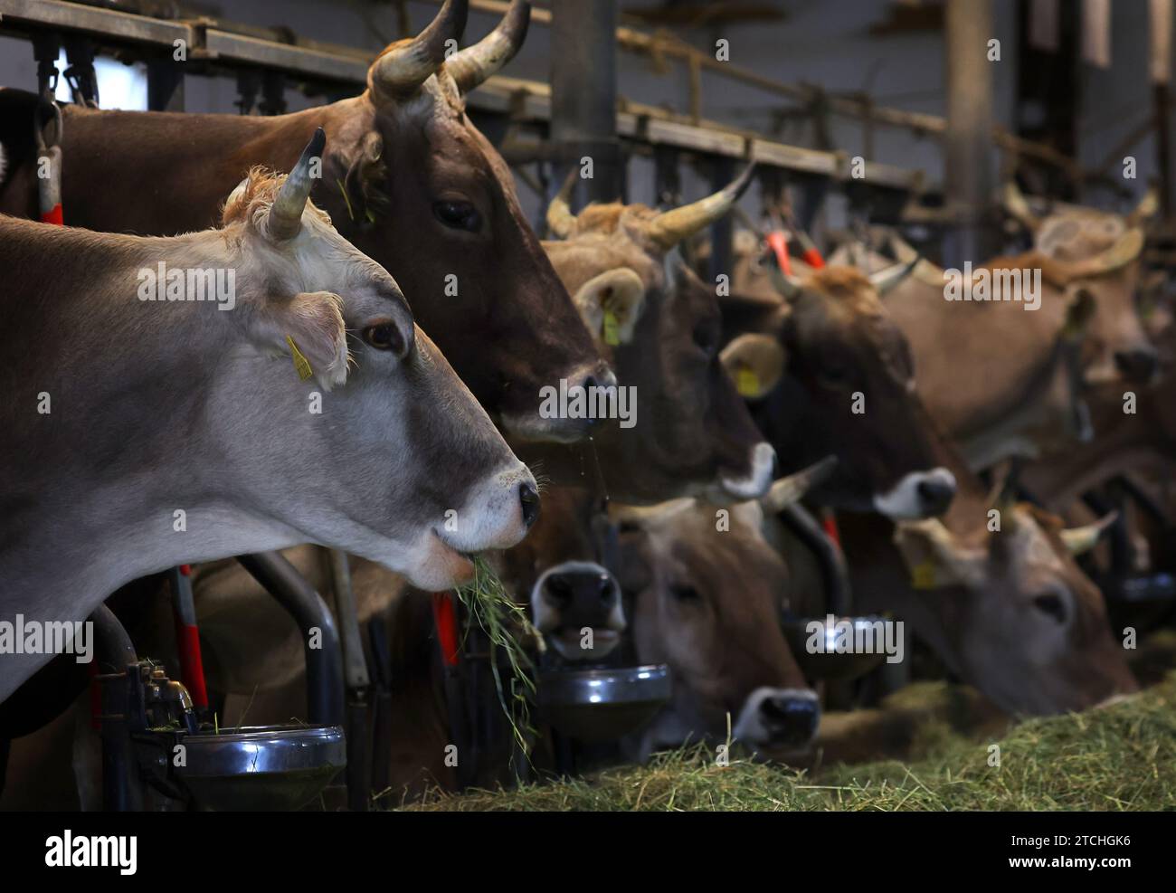 Phase out model hi-res stock photography and images - Alamy