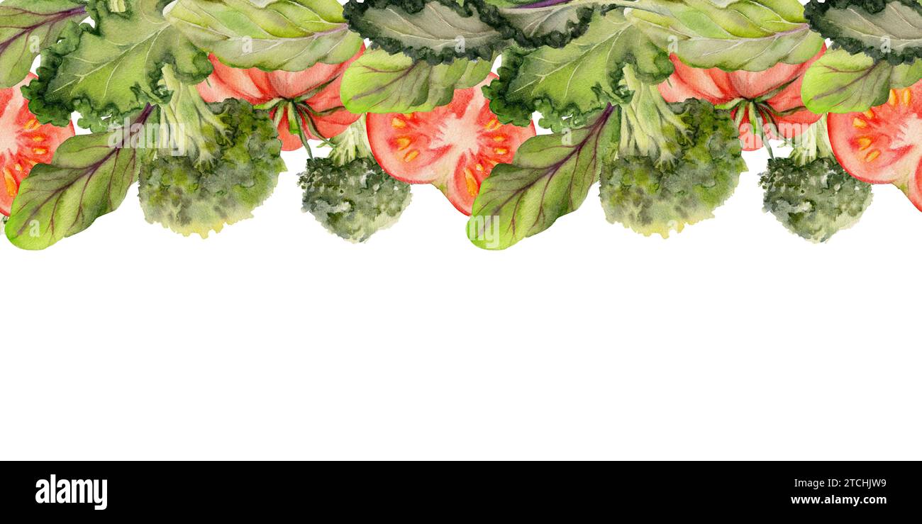 Hand drawn watercolor vegetables and green salad mix for diet, healthy ...
