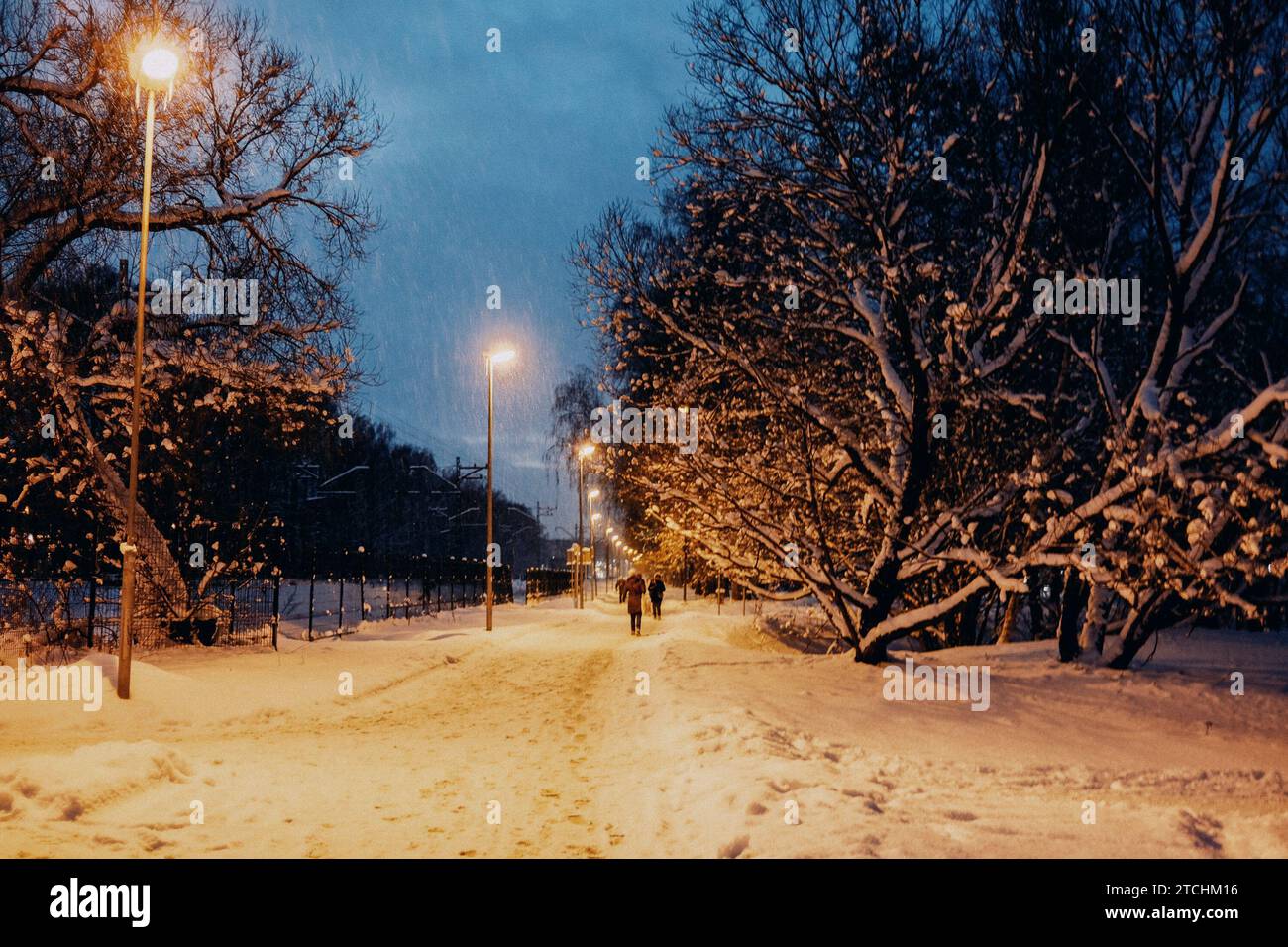 A tranquil winter nightscape in Imanta, Riga, illuminated by the warm ...