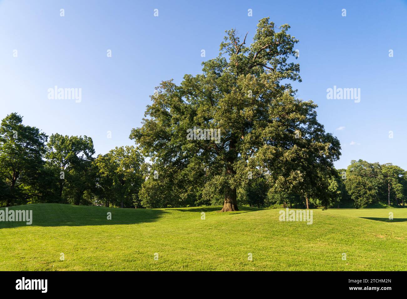 Earthwork enclosures hi-res stock photography and images - Alamy