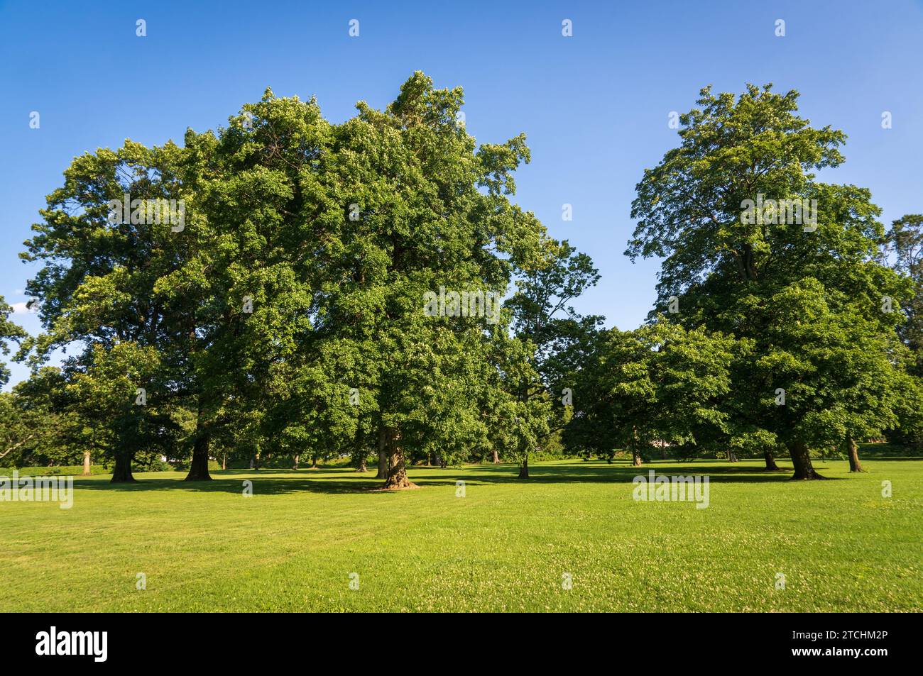 Earthwork enclosures hi-res stock photography and images - Alamy