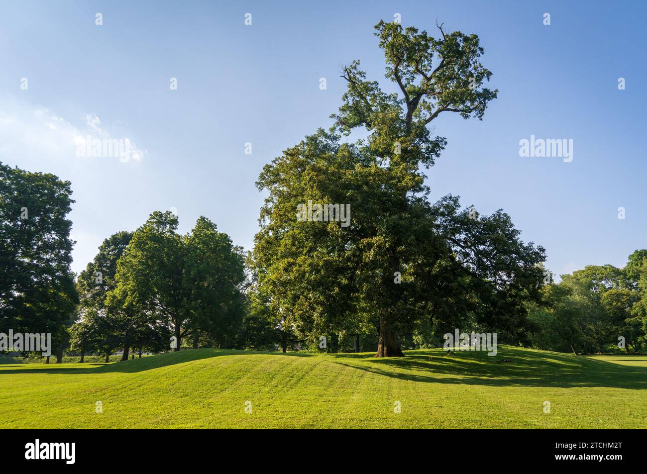 Earthwork enclosures hi-res stock photography and images - Alamy