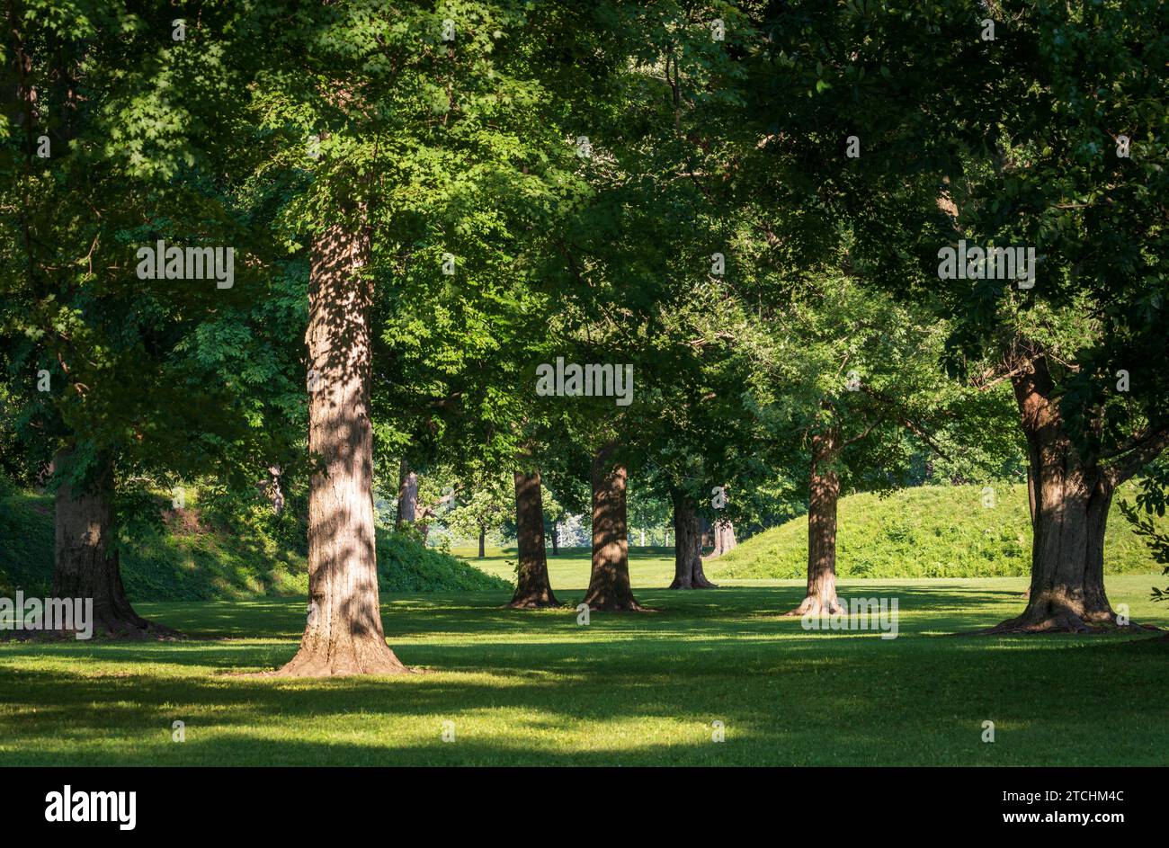 Earthwork enclosures hi-res stock photography and images - Alamy