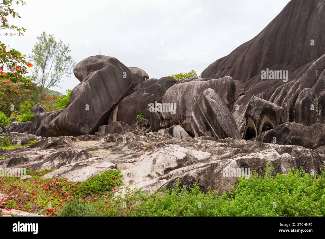 The Giant Union Rock. Popular natural landmark of La Digue island ...