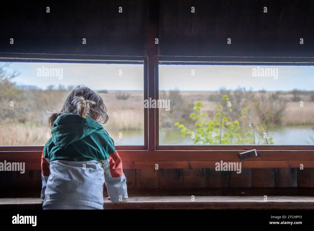 A child stands at a window admiring the view of a tranquil marsh ...