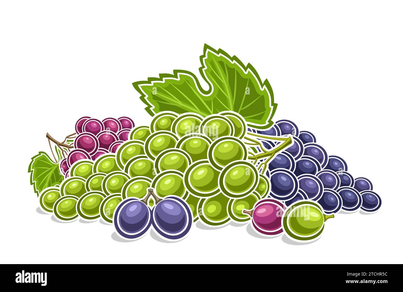 Vector logo for Grapes, decorative horizontal poster with outline ...