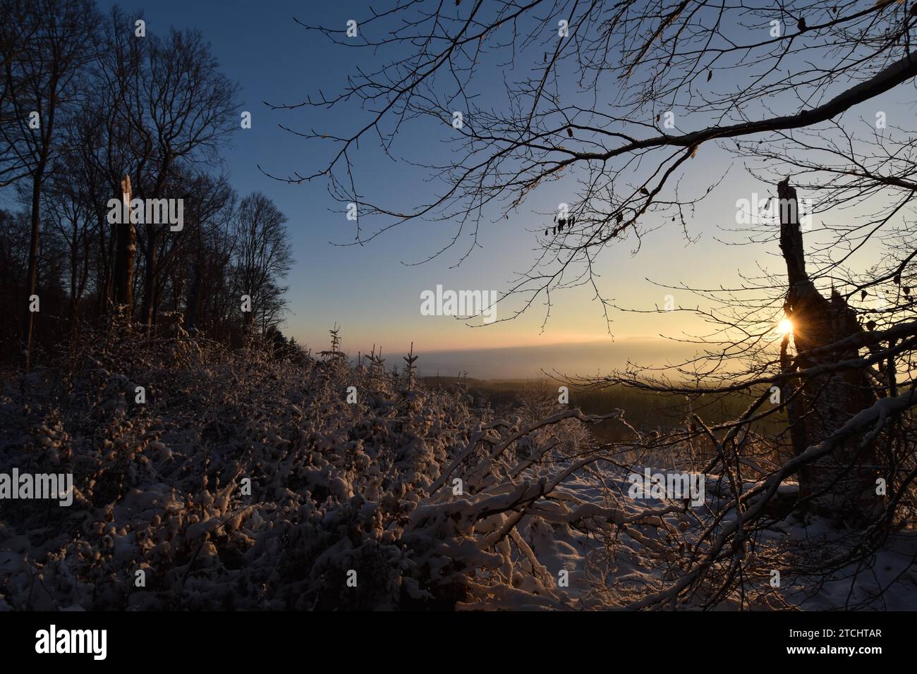 Winter sunrise with snow in the Hunsrueck-Hochwald National Park in the ...