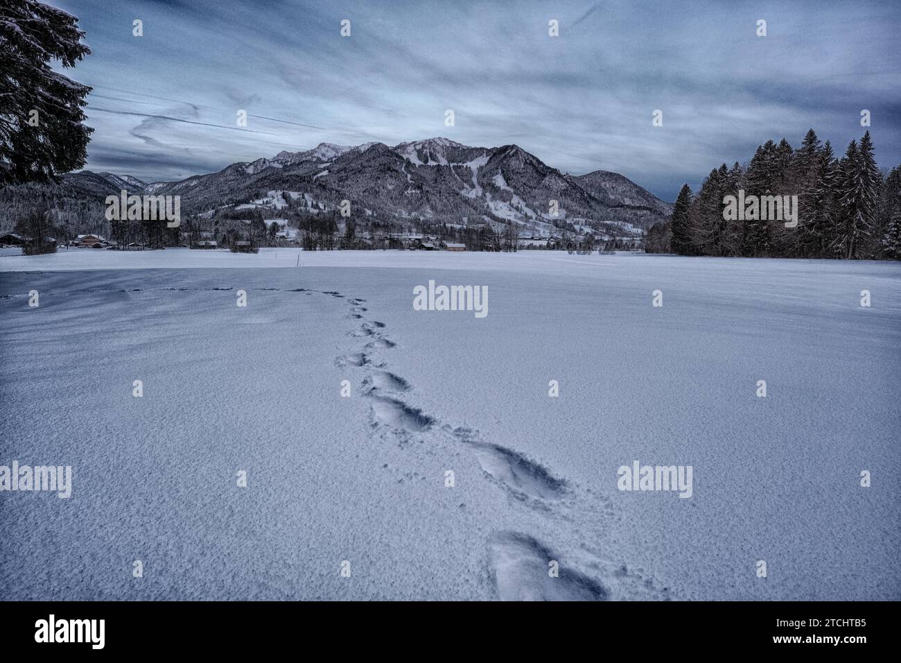 Snow, fresh snow, mountain, Bavarian Alps, snow tracks, tomorrow ...