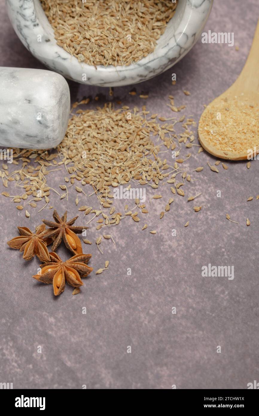 Whole dried anise (Pimpinella anisum) seeds in a ceramic mortar and ...