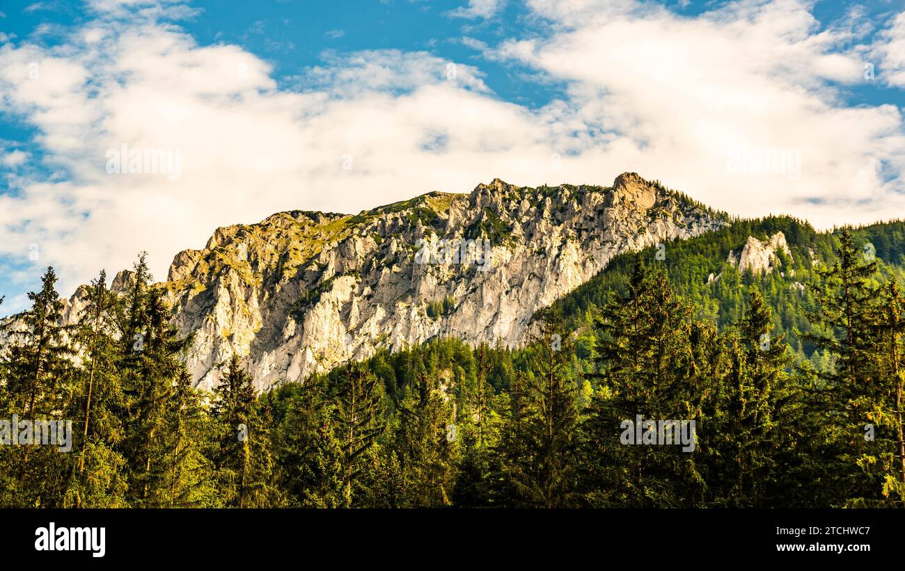 View of mountain above famous green lake in Austria, Styria. Tourist ...