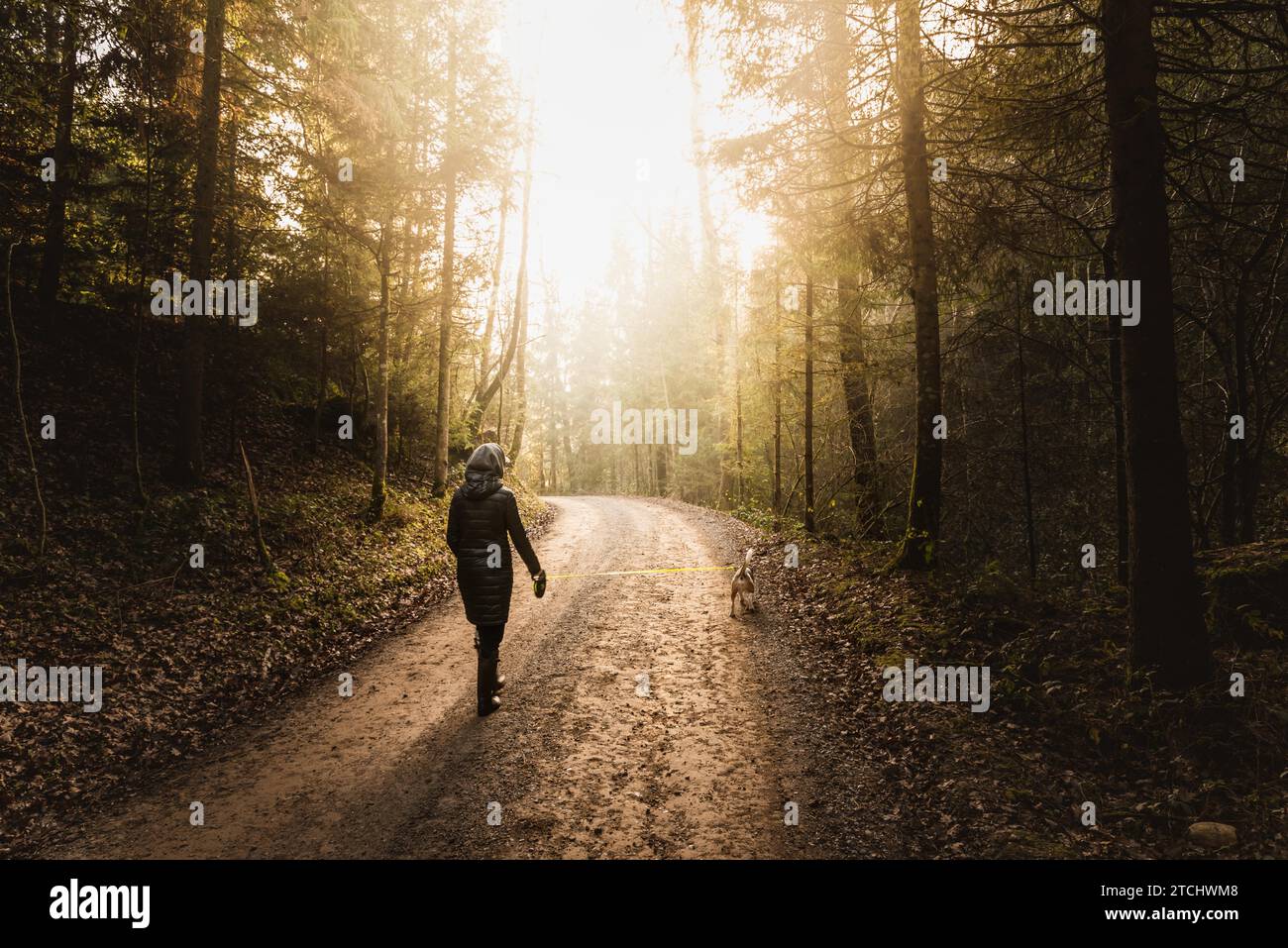 Beautiful girl walking in rainy hi-res stock photography and images - Alamy